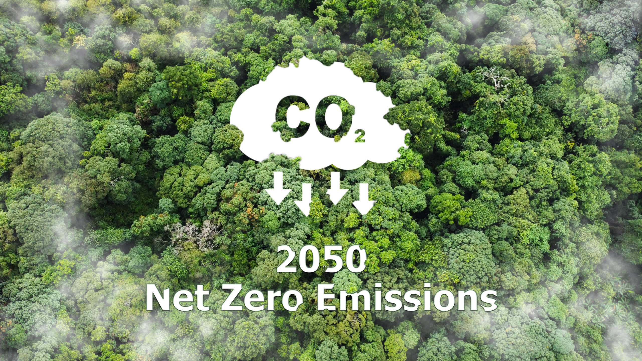 Net Zero 2050 Carbon Neutral And Net Zero Concept Natural Environment A ...